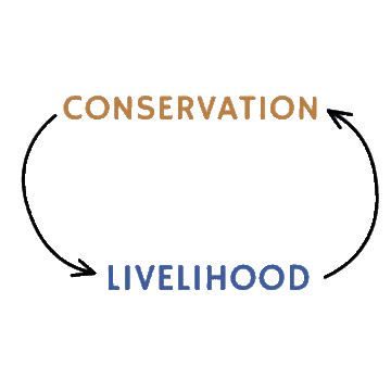 People for Himalayan Development - Livelihood through Conservation and ...